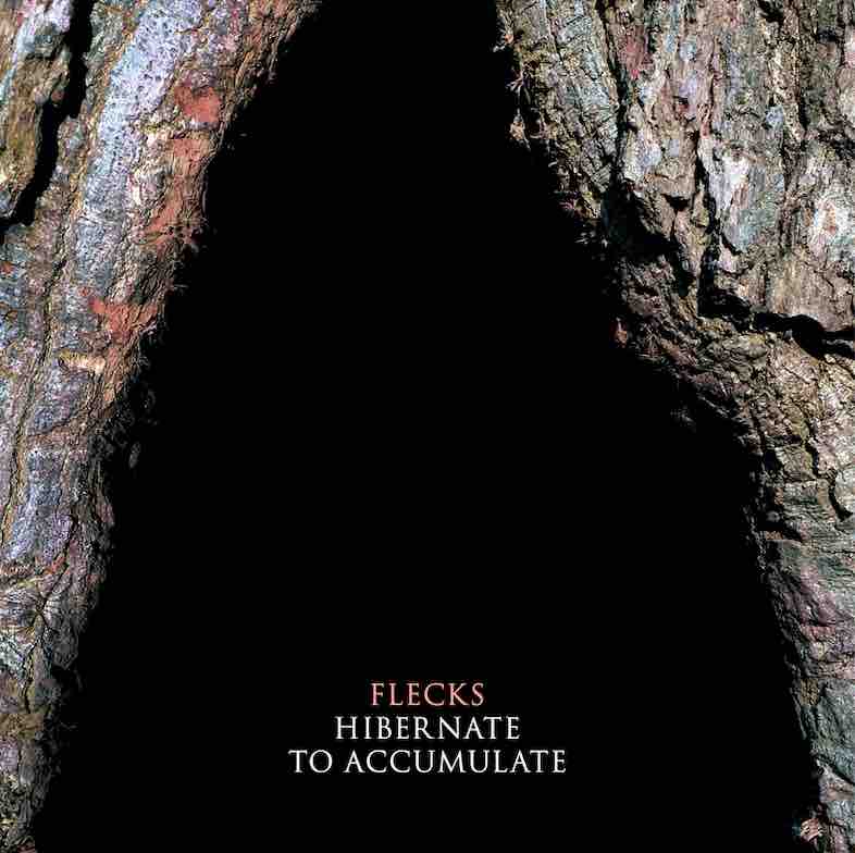FLECKS – MAPS REMIX – Maps